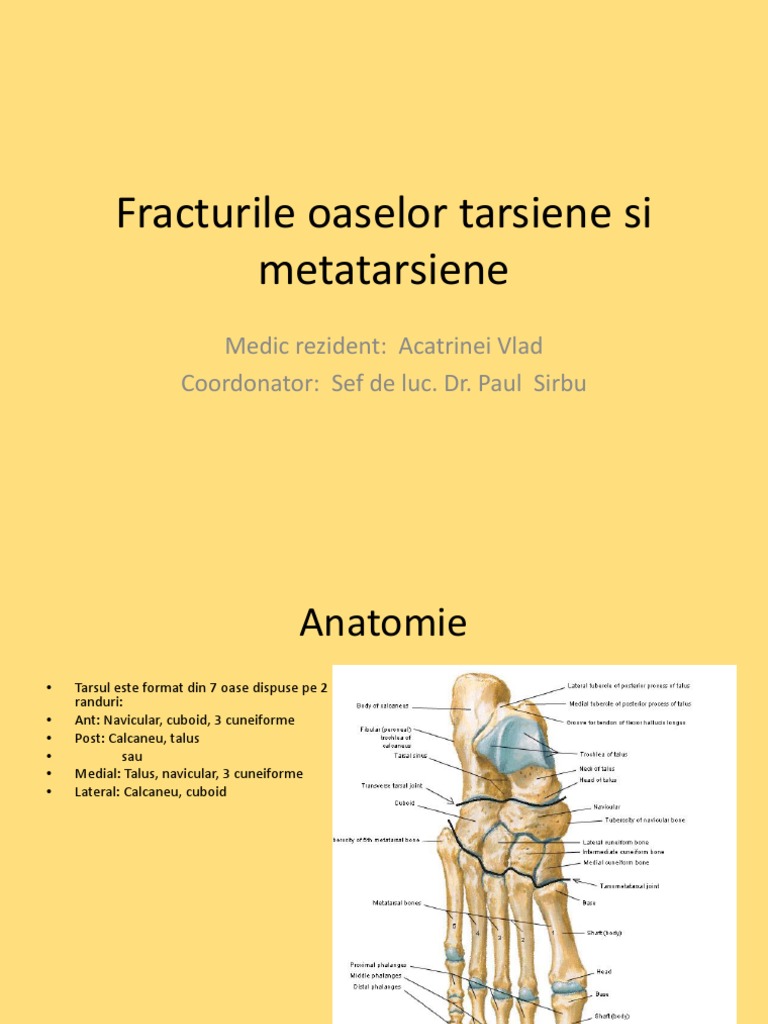 Fracturile Oaselor Tarsiene Si Metatarsiene | PDF