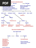 Aerobic Gram Negative Rods Flowchart 508 | PDF | Gram Negative Bacteria ...