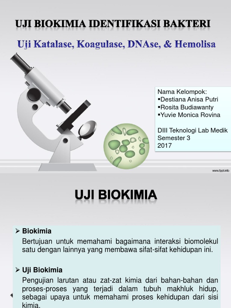 Uji Katalase, Koagulase, DNAse, & Hemolisa | PDF