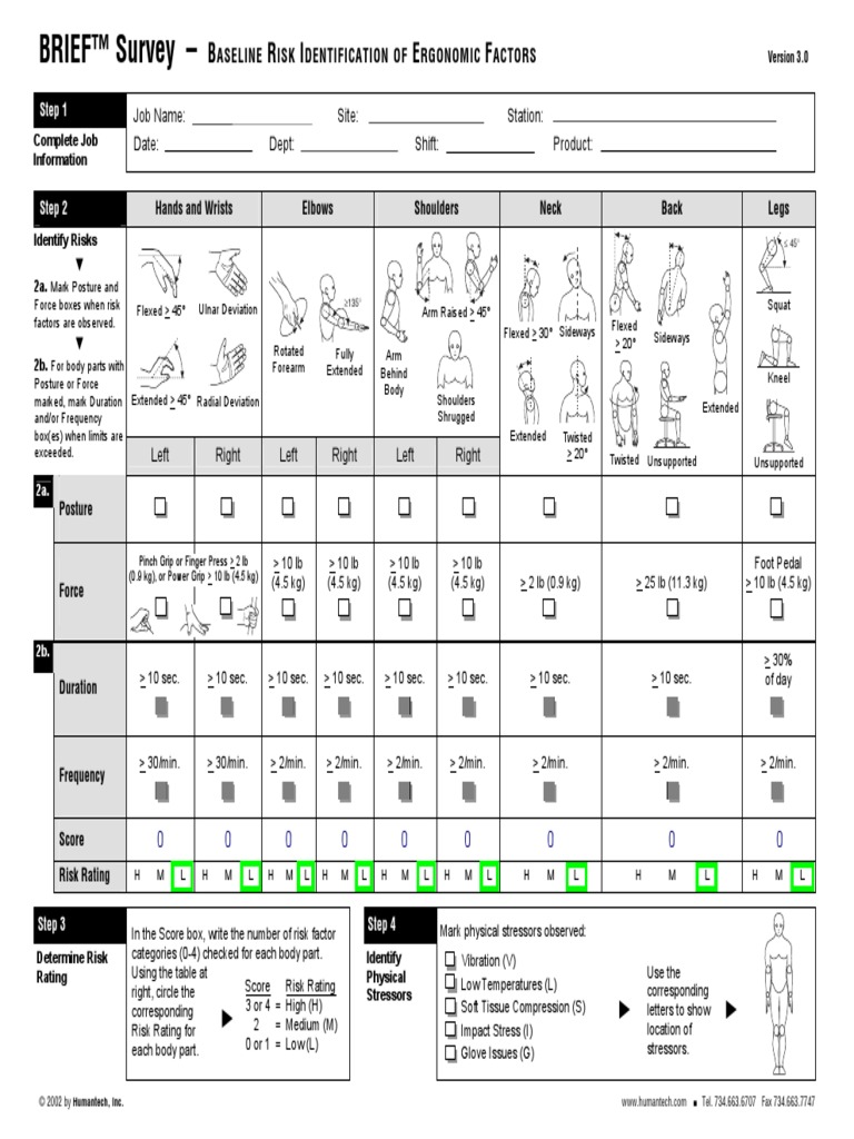 PDF BRIEF Form 3.0 | Anatomical Terms Of Motion | Human Anatomy