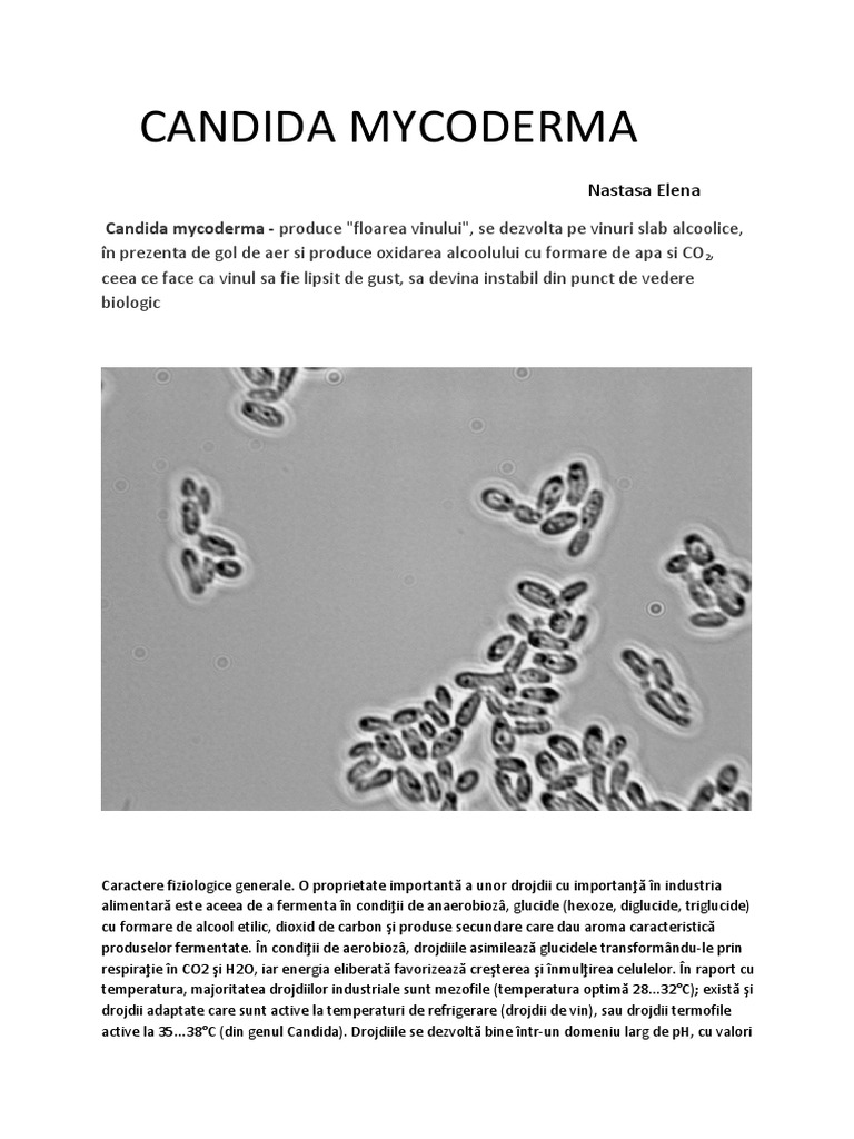 Candida Micoderma | PDF