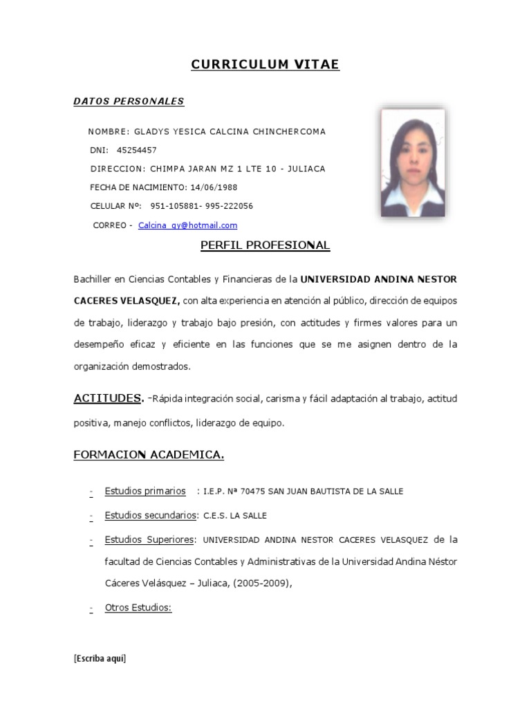Curriculum Vitae | PDF | Contador | Business