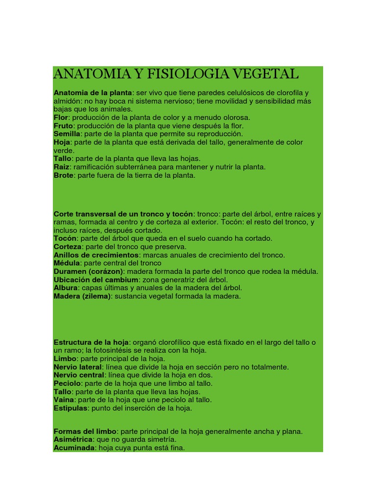 Anatomia y Fisiologia Vegetal | Descargar gratis PDF | Raíz | Tallo de ...
