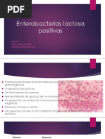 Citrobacter freundii: Características y Aislamiento | PDF | Las ...