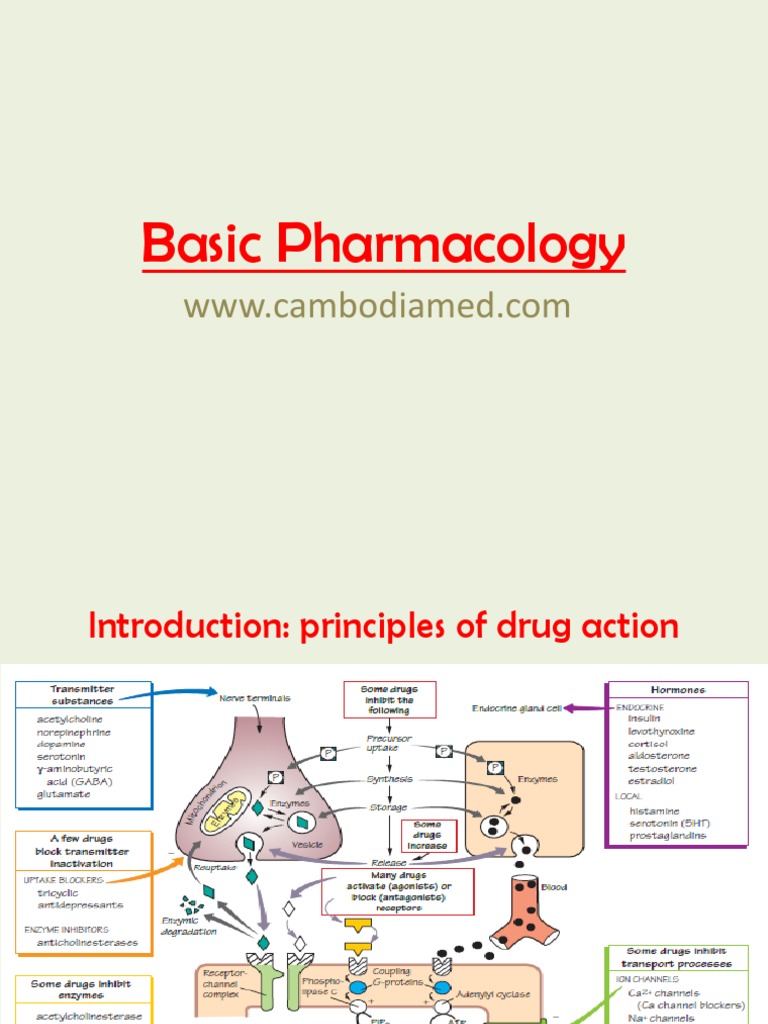 Basic Pharmacology | PDF | Pharmaceutical Drug | Nonsteroidal Anti ...