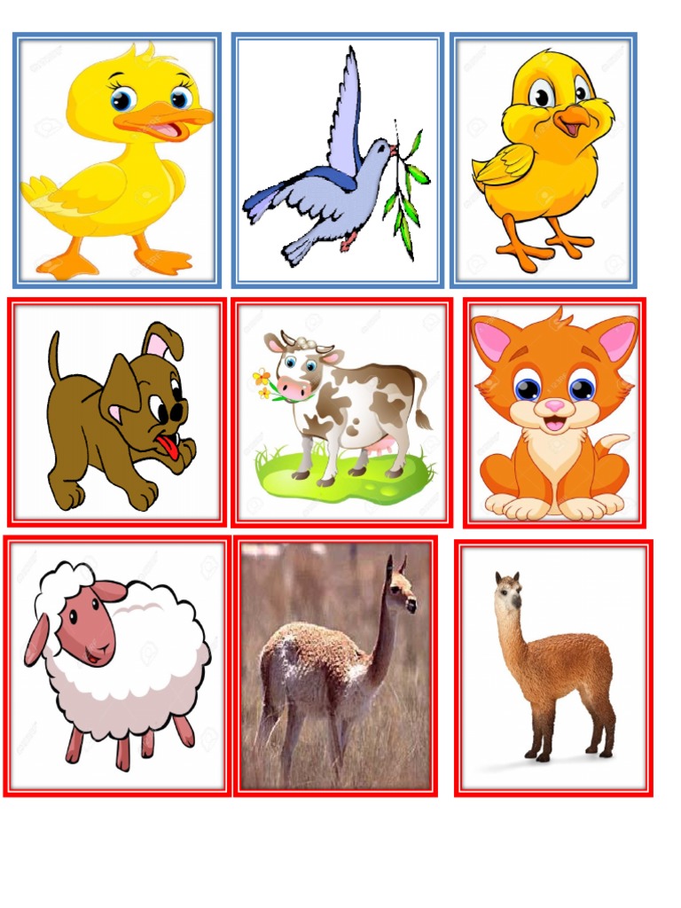 Animales Con Pelo Plumas y Lana | PDF