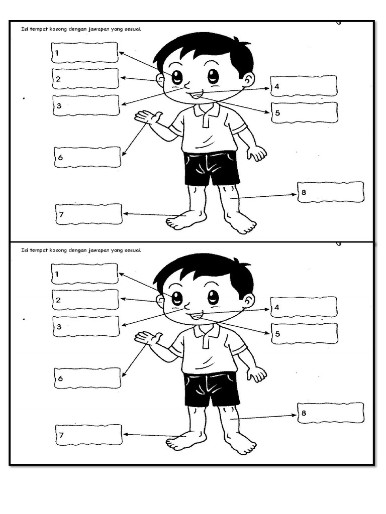 BBM BM - Kenali Anggota Badan | PDF