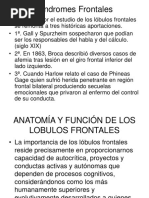 Núcleos del Rafe: Anatomía y Funciones | PDF | Serotonina | Hipotálamo