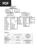 SKDI Dokter Umum 3A-3B-4 | PDF
