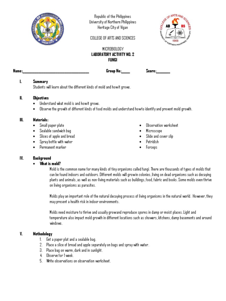 Fungi Lab Activity | Mold | Natural Environment