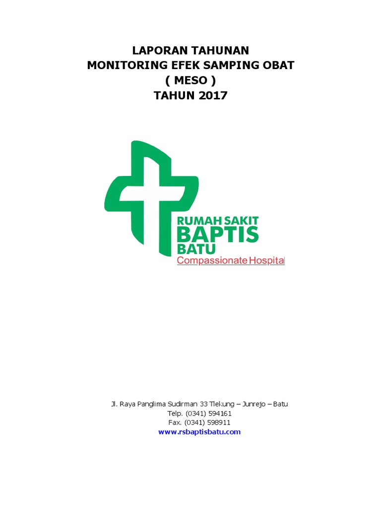 Laporan Meso 2016 | PDF