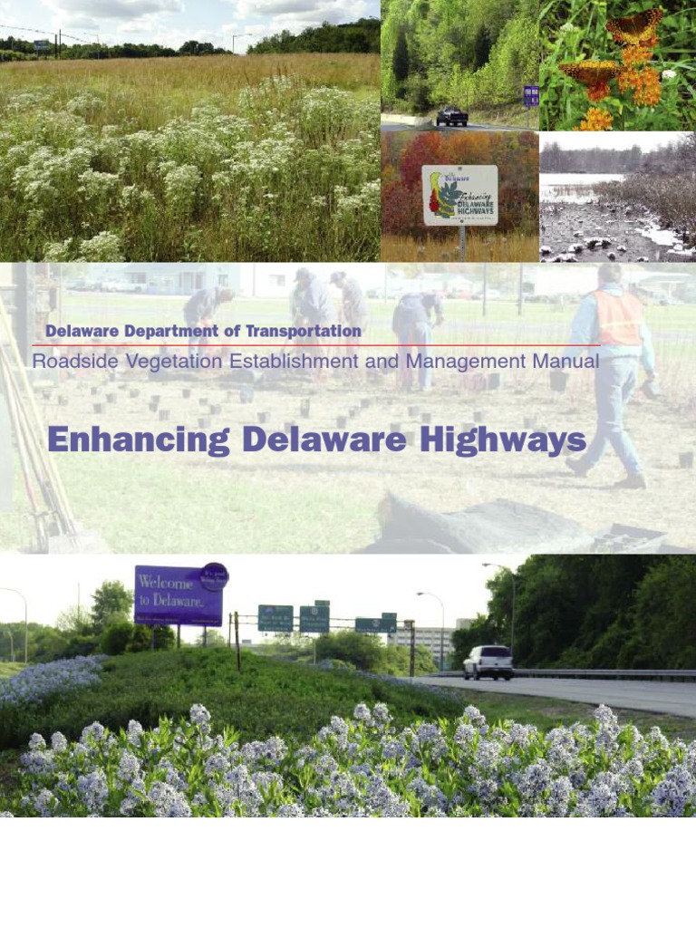 Delaware Highways Manual - Roadside Vegetation Management | PDF | Herbicide | Soil