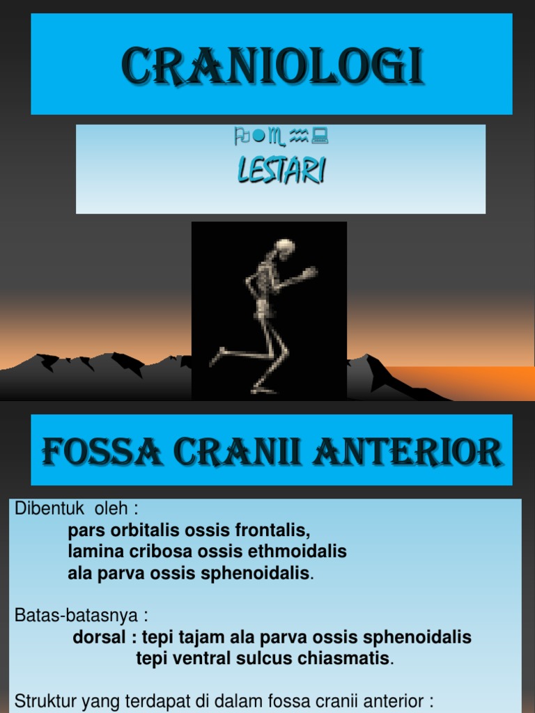 BASIS CRANII N SPLANCHNOCRANIUM | PDF
