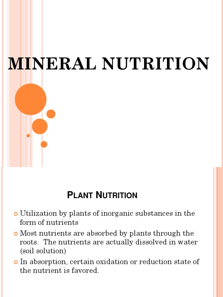 Mineral Nutrition | Nutrients | Biochemistry
