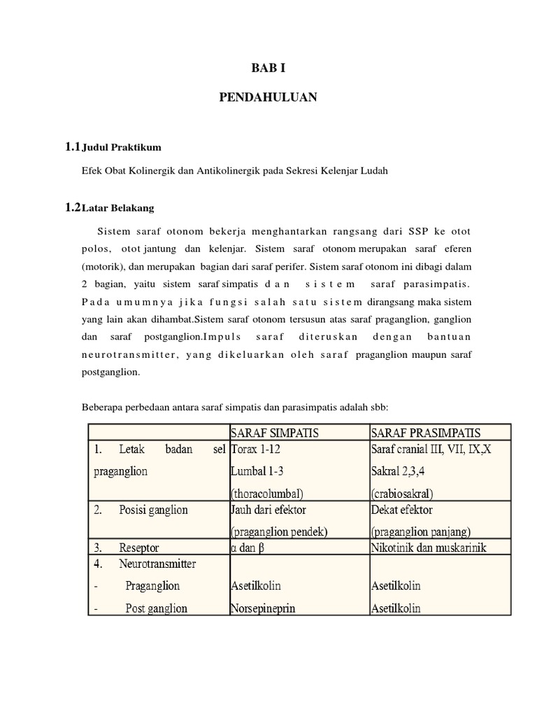 Efek Obat Kolinergik dan Antikolinergik | PDF