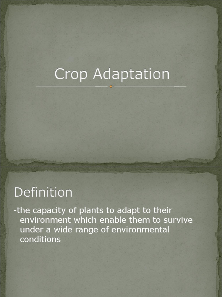 Crop Adaptation.ppt | Plants | Trees