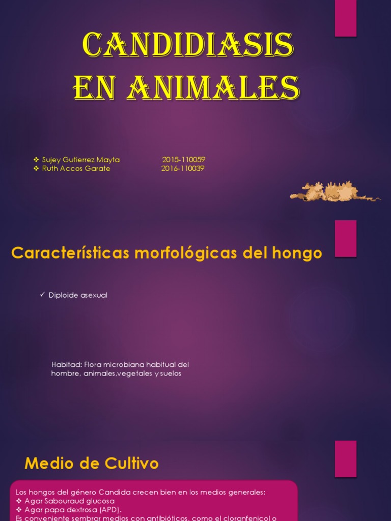 Candidiasis en Animales | PDF | Candidiasis | Inmunología