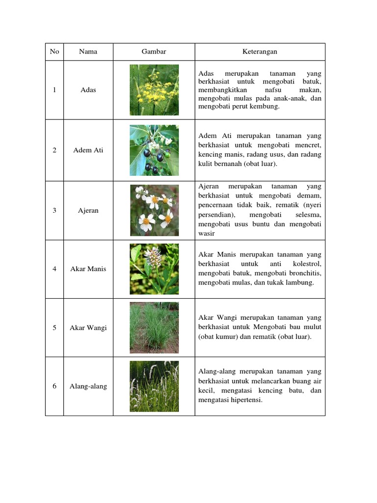 Tabel Tanaman Obat | PDF