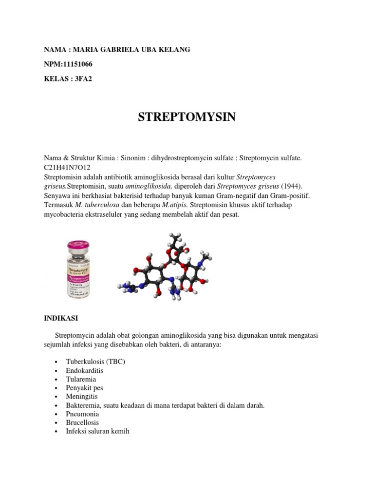 Fungsi dan Mekanisme Streptomisin | PDF | Kesehatan Holistik