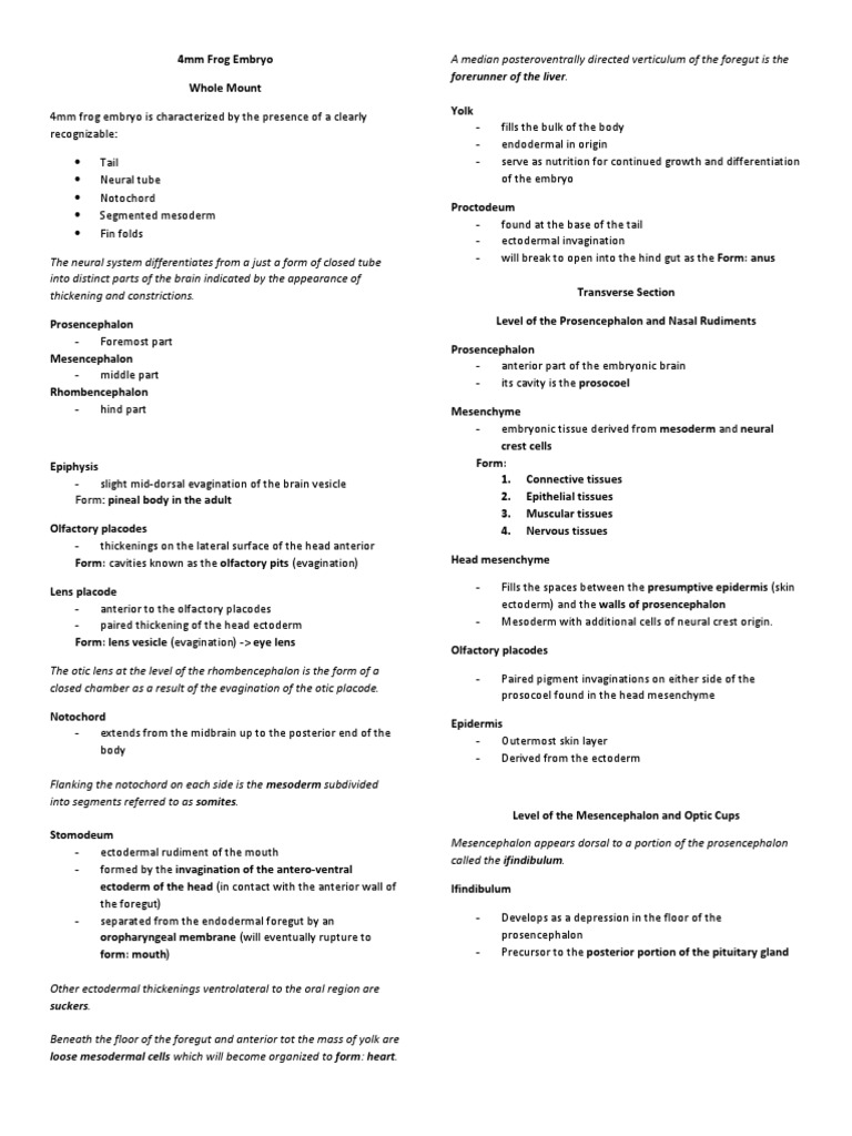 4mm Frog Embryo | PDF | Pituitary Gland | Reproduction