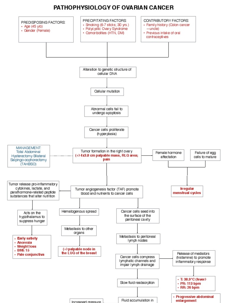 Final Ovarian Cancer Meigs Pathophysio PDF | PDF | Ovarian Cancer ...