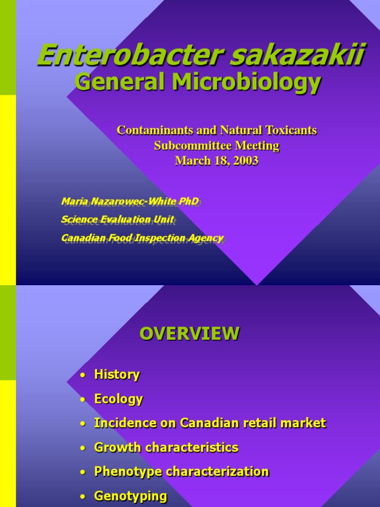 Enterobacter Sakazakii: General Microbiology | PDF | Antibiotics ...
