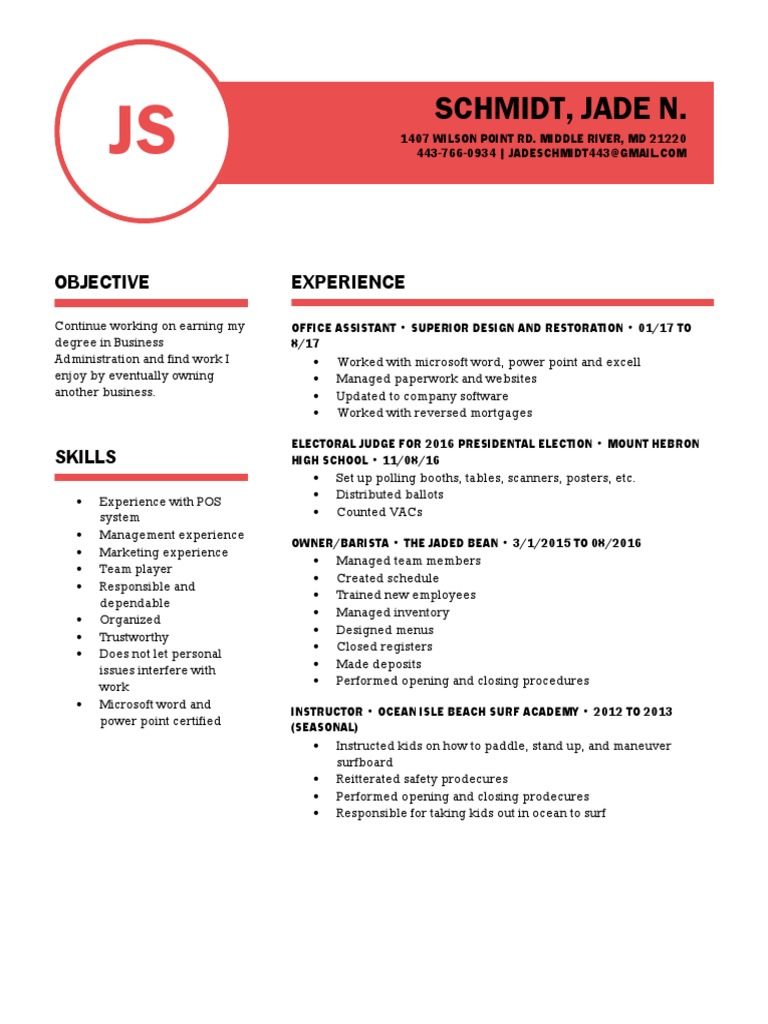 Schmidt Resume | PDF | Computing | Business