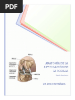 Anatomia de La Rodilla | PDF | Rodilla | Extremidades (anatomía)
