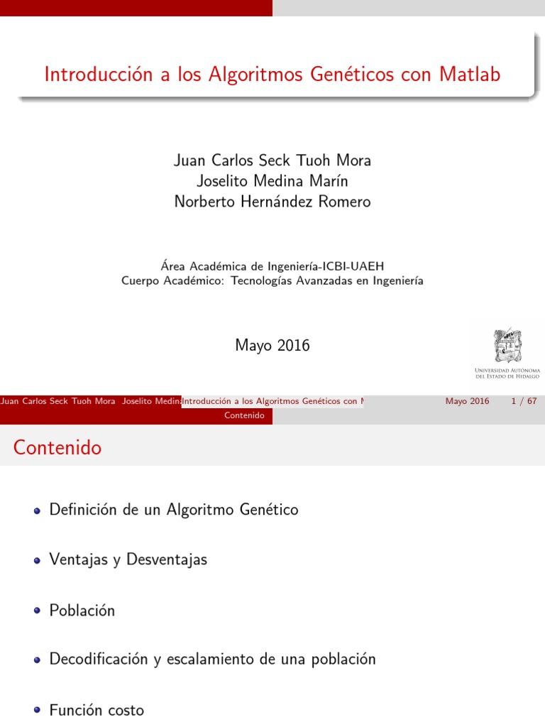 Algoritmos Geneticos Examen PDF | PDF