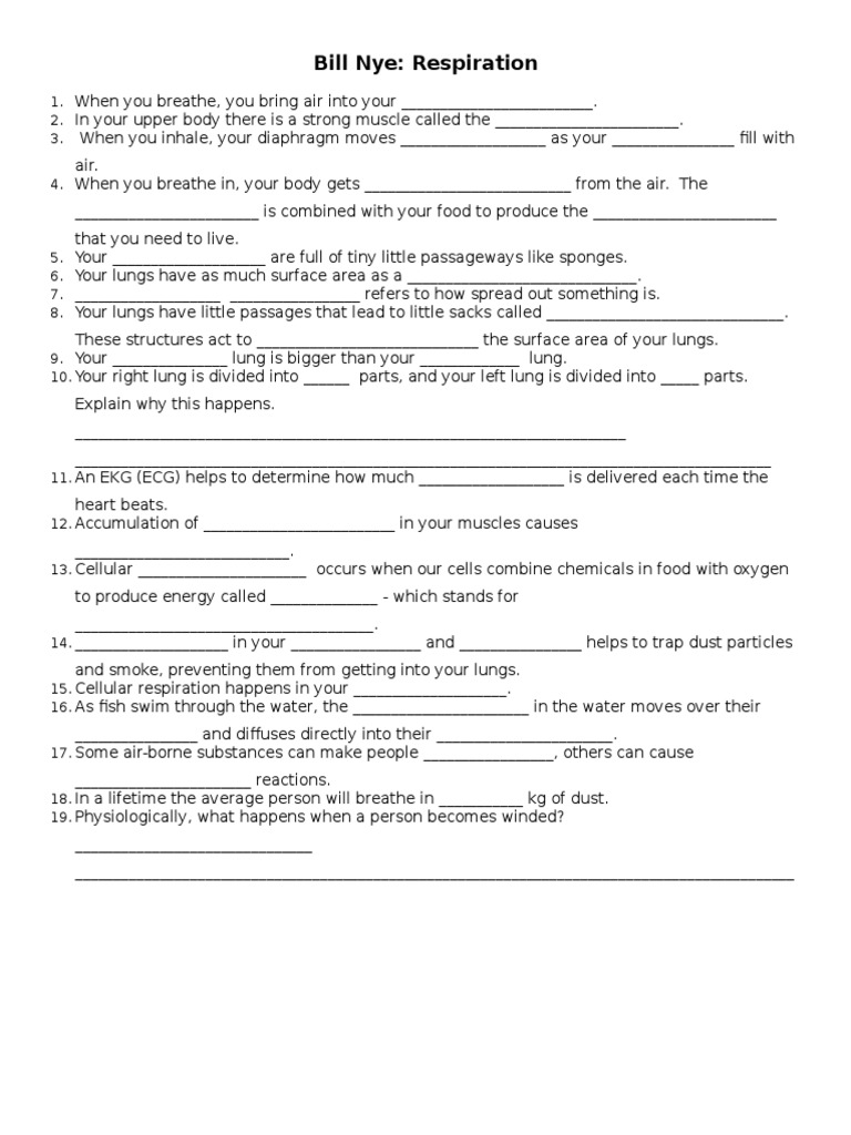 Bill Nye Respiration | PDF | Lung | Breathing