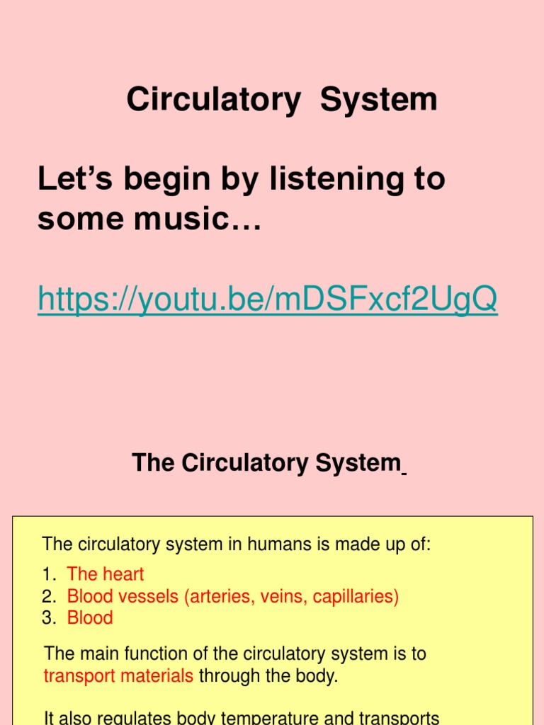 Lesson 4 - Circulatory System | PDF | Heart | Heart Valve