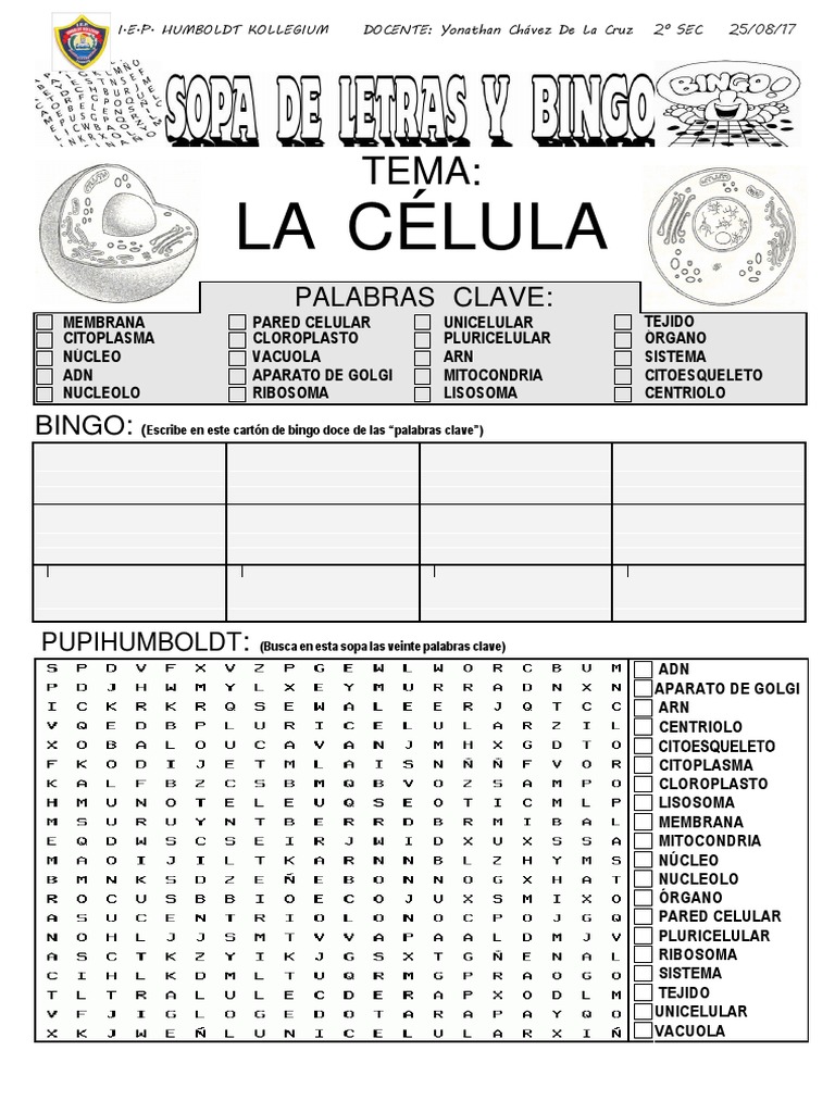 So Pay Bingo Lace Lula | PDF | Citoplasma | Ribosoma