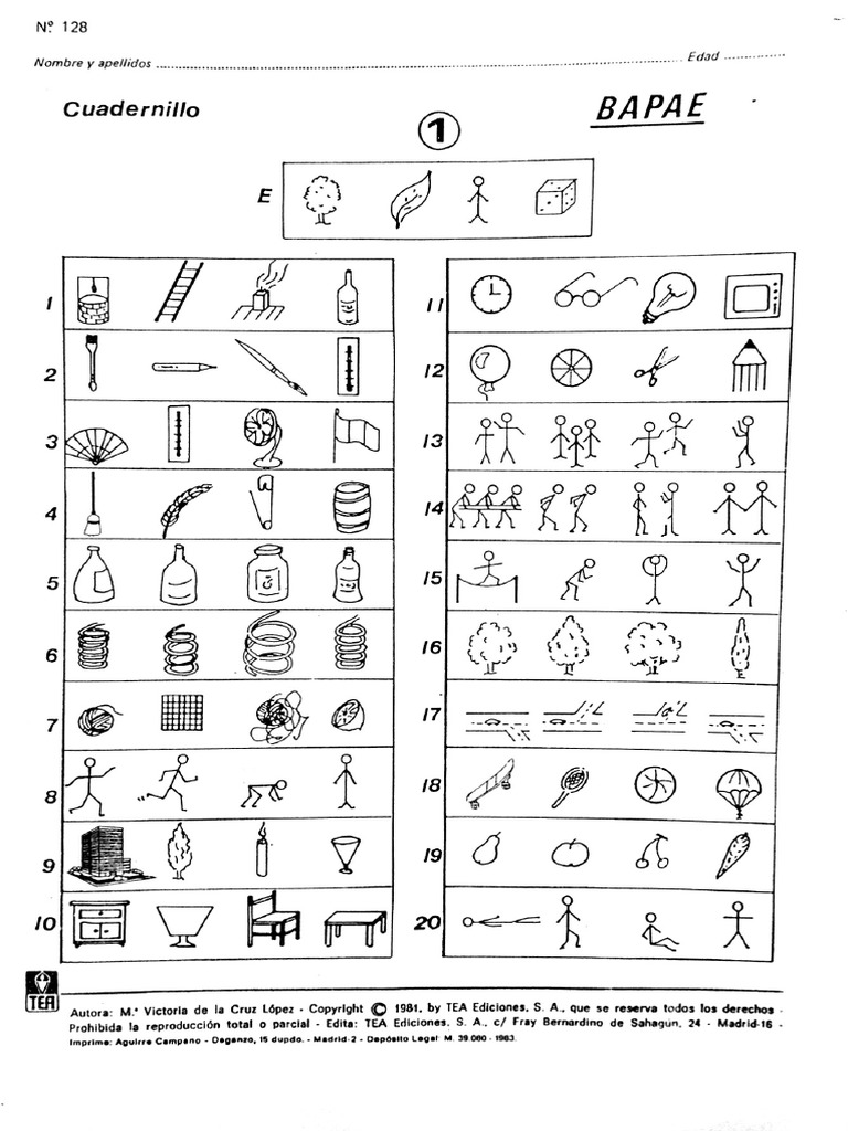 Cuadernillo BAPAE | PDF