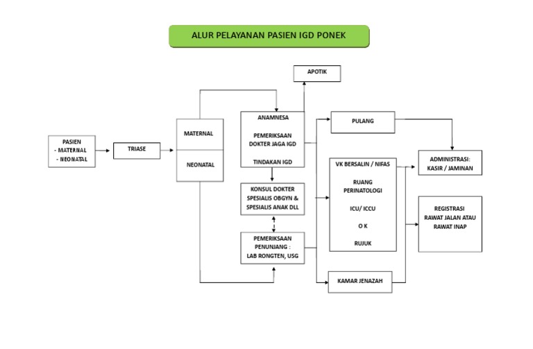 Alur Pelayanan IGD PONEK | PDF