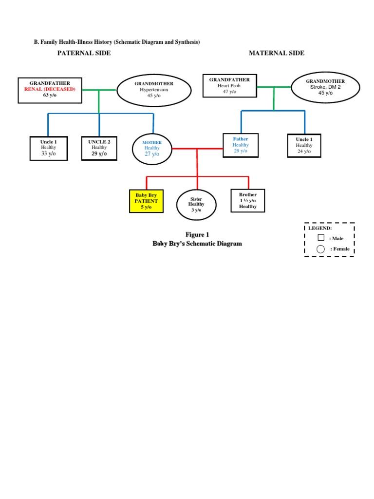 Family Health History Diagram | PDF