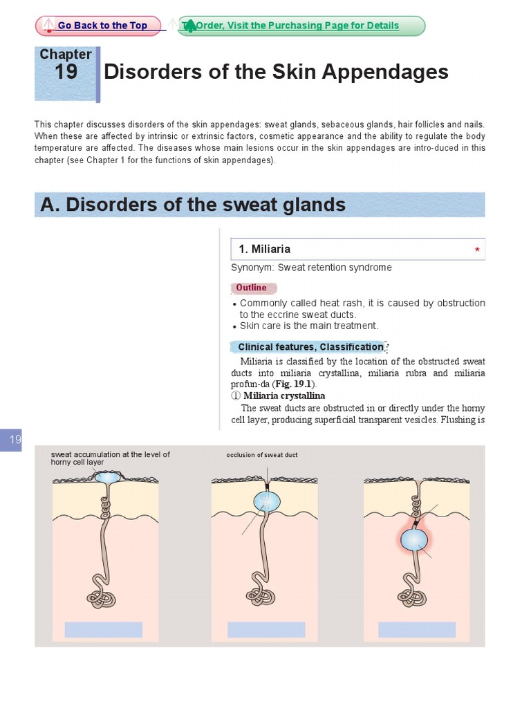 19-01 | Perspiration | Human Anatomy