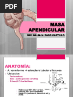 Incisión Rocky Davis | PDF | Medicina CLINICA | Anatomía
