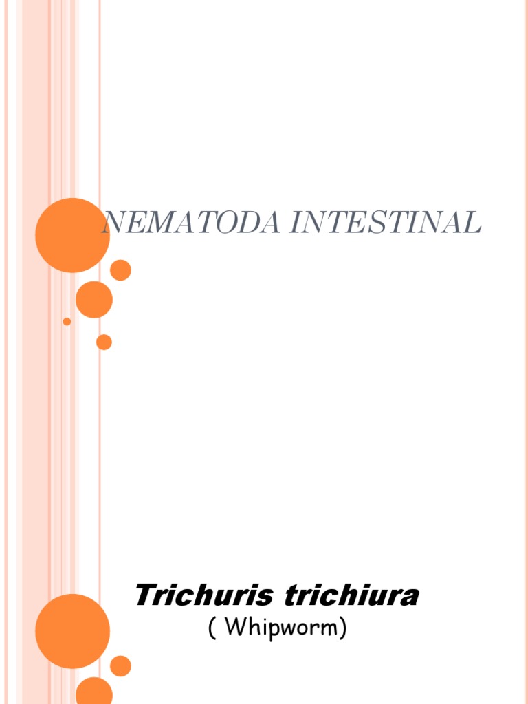 Trichuris Trichiura | Download Free PDF | Parasitology | Diseases And ...