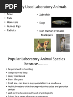 lt0001 Mouse Pup Appearance | PDF | Mammals