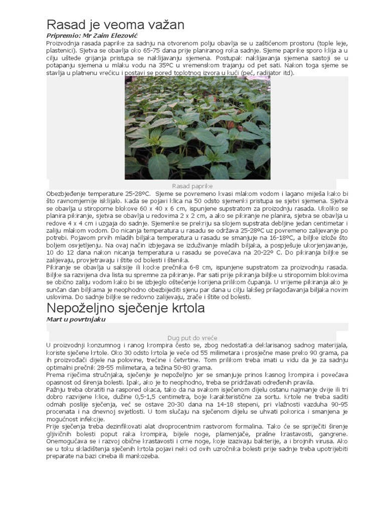 Naklijavanje Sjemena Paprike | PDF