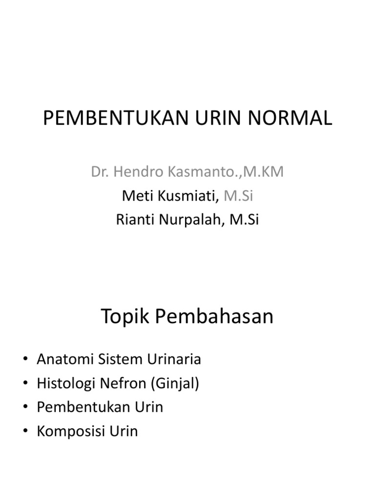 Pembentukan Urin Normal | PDF