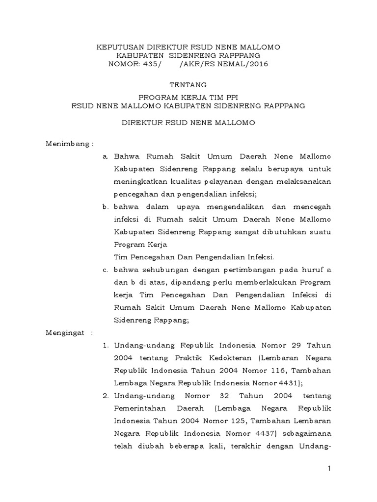 Program Kerja Tim Ppi | PDF