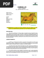 Ciclo de Vida de La Vaca | PDF | Vacas | Leche