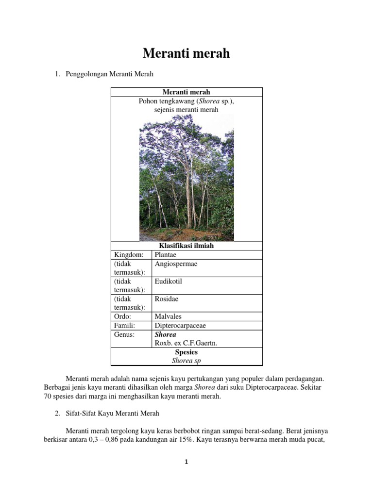 Meranti Merah | PDF