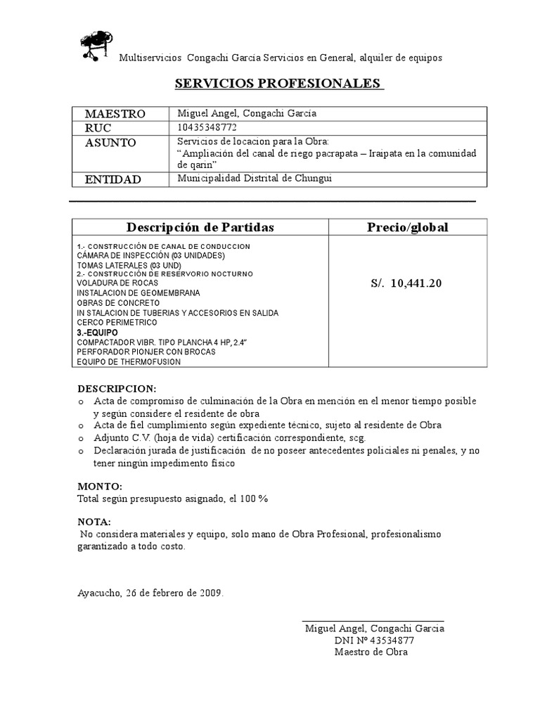 Proforma de Servicio Profesionales | PDF