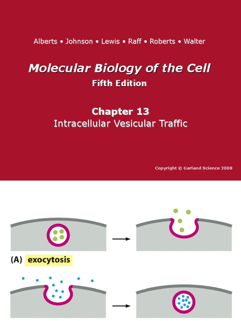 MBoC5e - CHPT - 13 Intracellular Vesicular Traffic | PDF | Biology | Organisms
