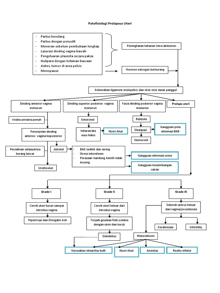 Pathway Prolaps Uteri | PDF