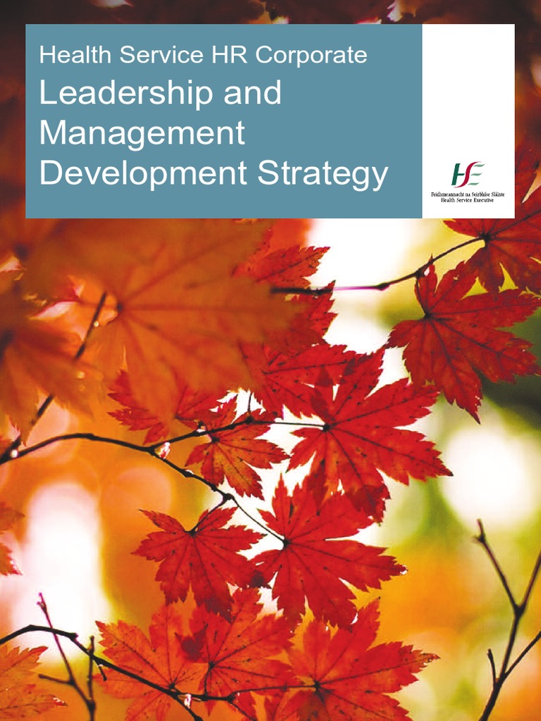 Leadership Management Development Strategy | PDF | Strategic Management ...