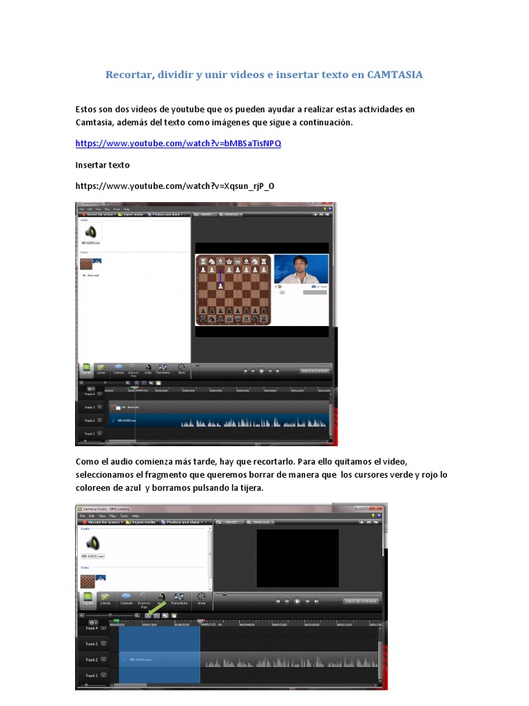 Pequeño Tutorial para Sincronizar Audio y Video en CAMTASIA | PDF