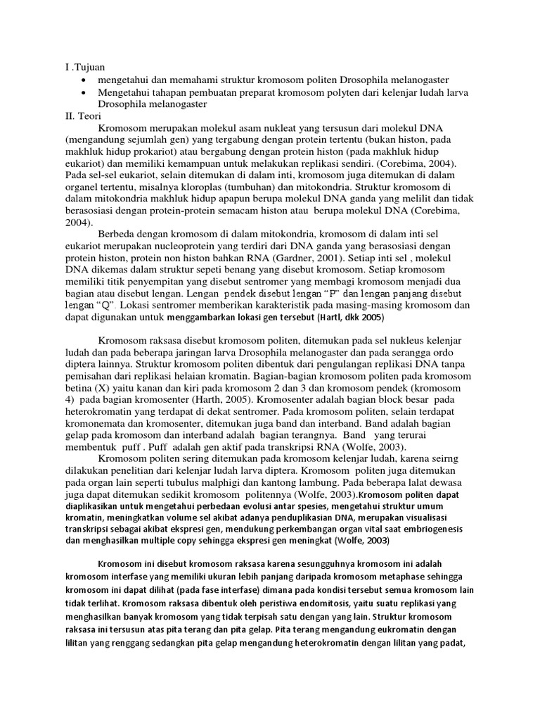 Laprak Kromosom Politen | PDF